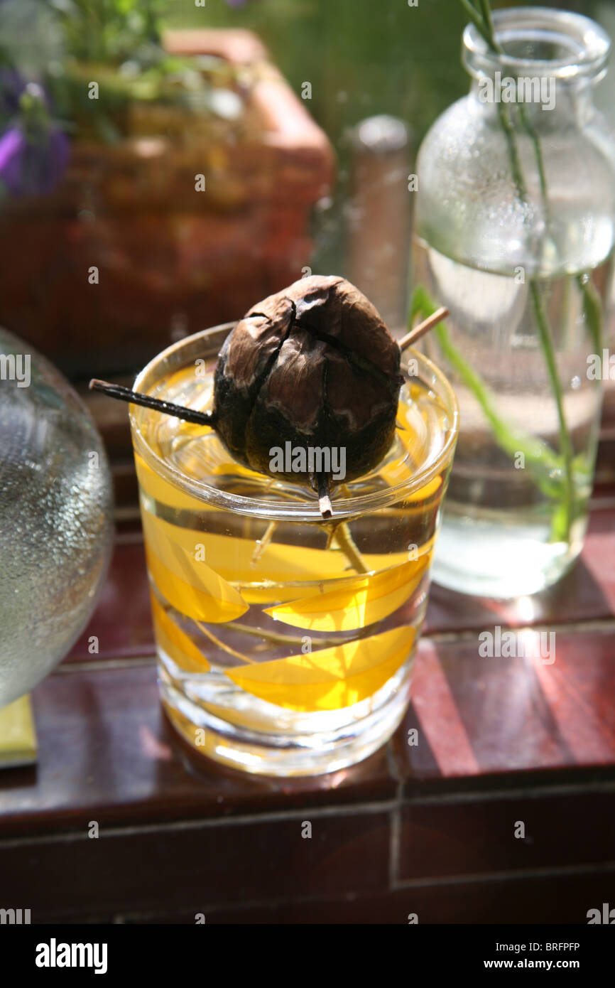 Avocado stone germinating in a glass of water on a kitchen window sill ...