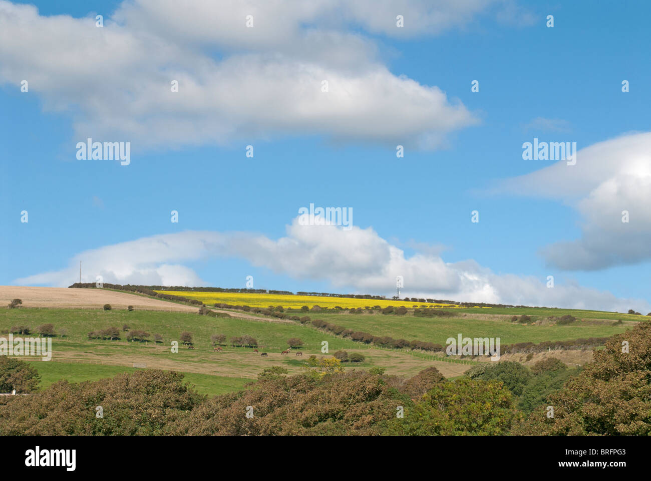 Dorset landscape hi-res stock photography and images - Alamy