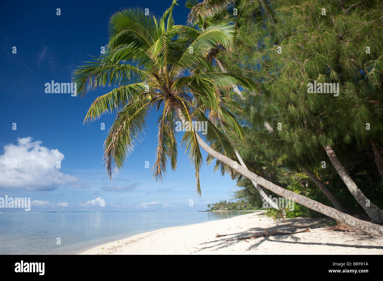 Rarotonga, The Cook Islands Stock Photo - Alamy