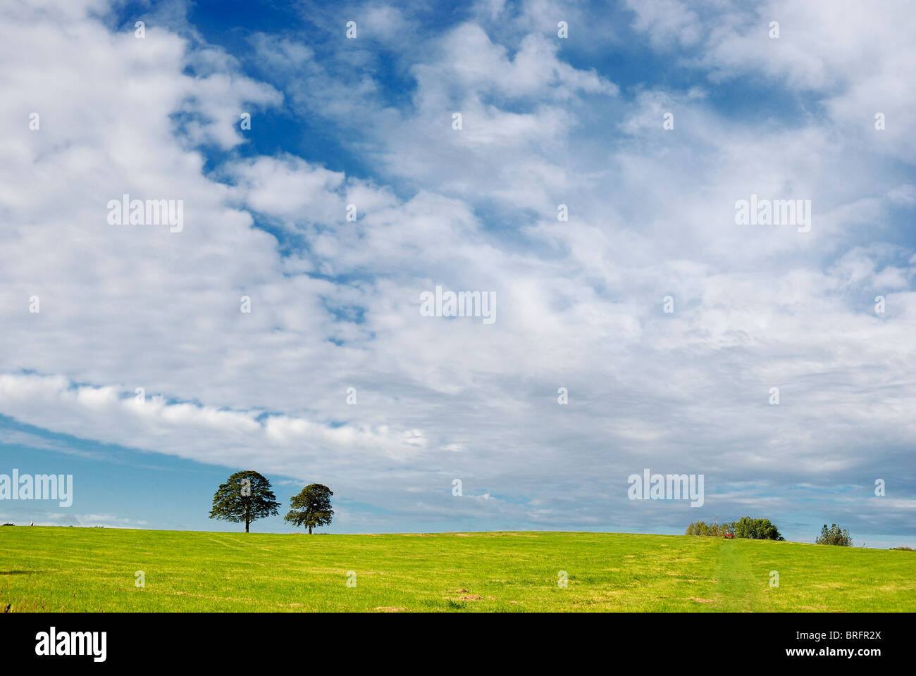 Shipley country park Derbyshire england uk Stock Photo - Alamy
