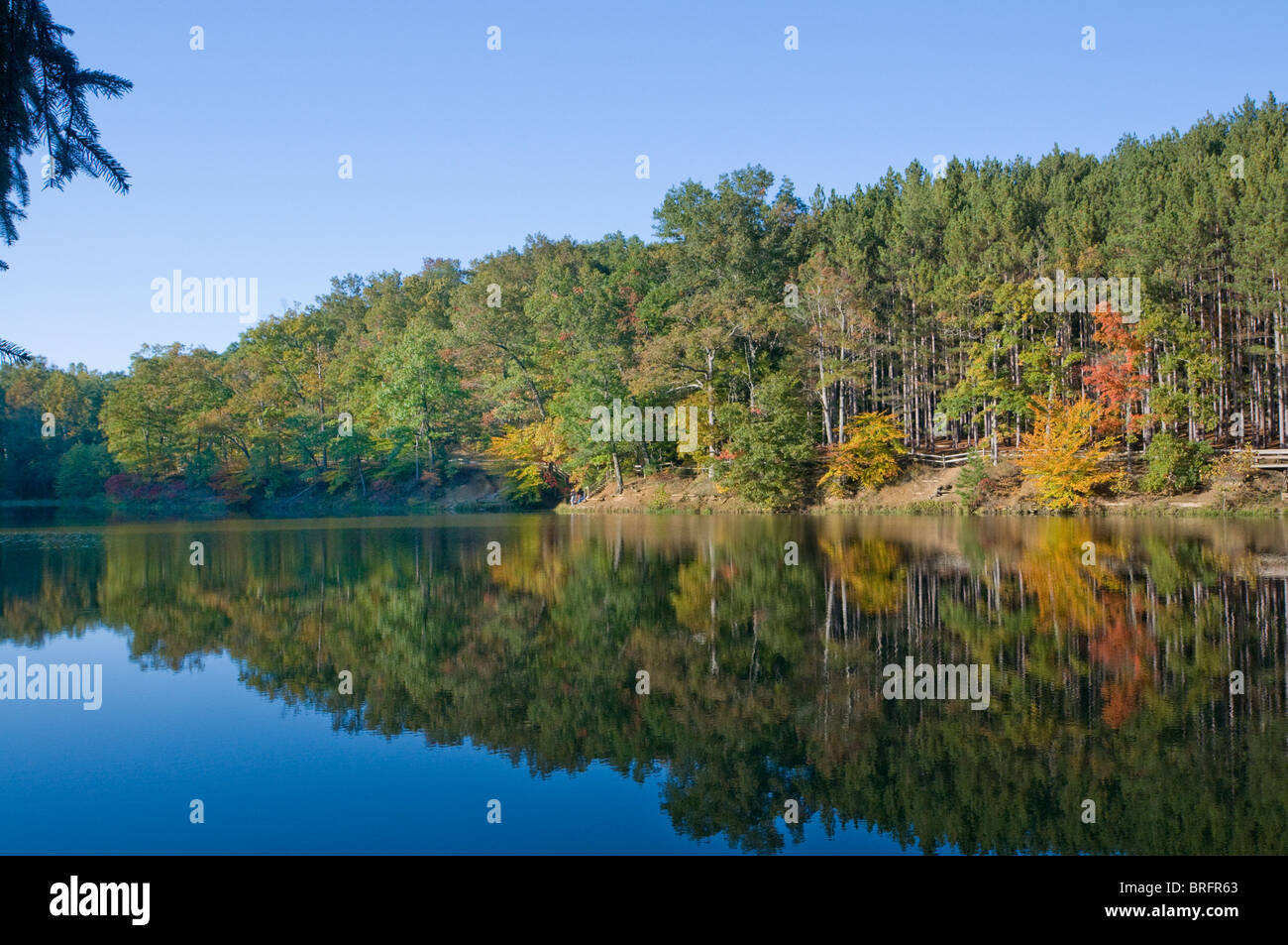 Fall Scene, Lake, Reflection, State Park Stock Photo - Alamy