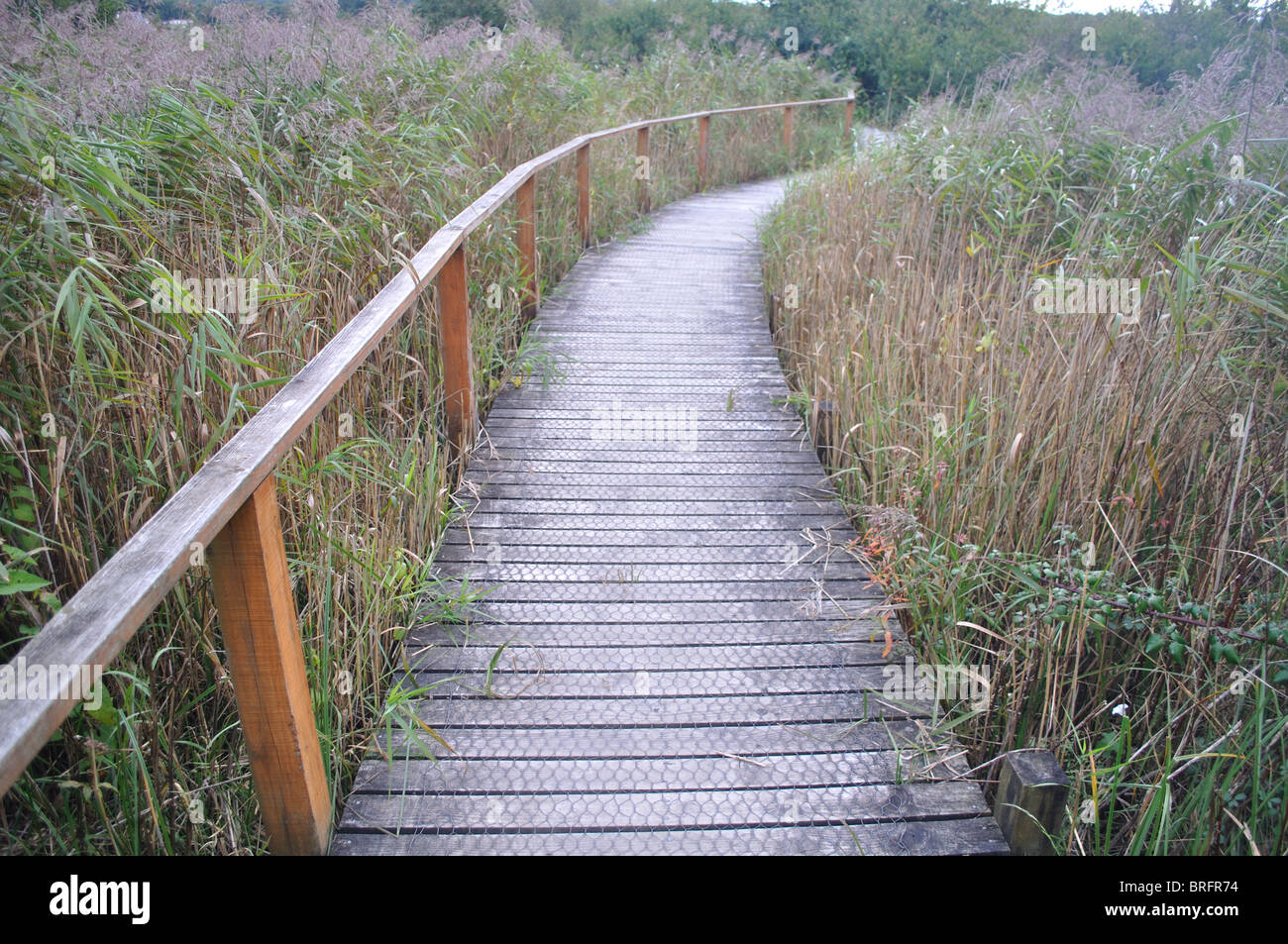 Welsh marshes hi-res stock photography and images - Alamy