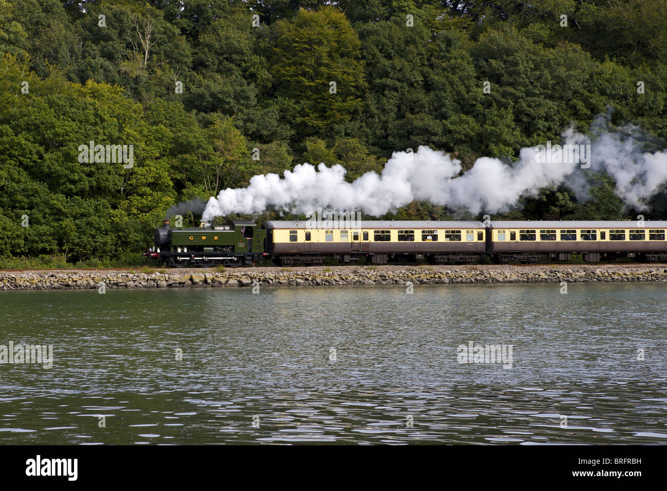 Looe valley line hi-res stock photography and images - Alamy