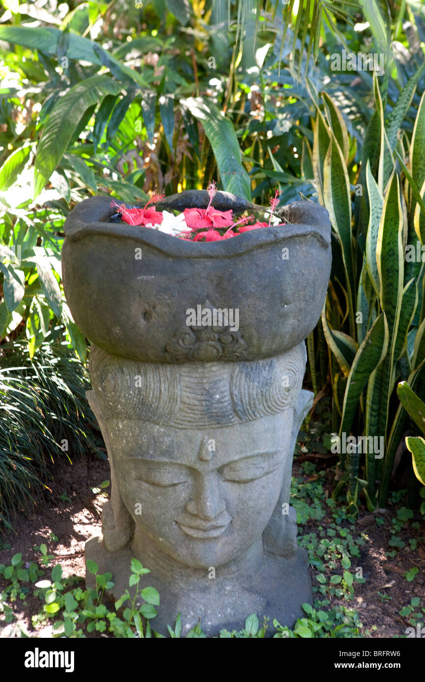 Cook islands flowers hi-res stock photography and images - Alamy