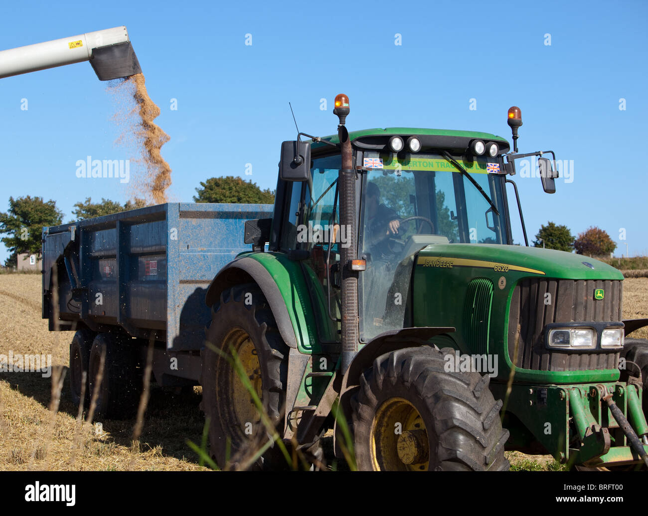 Harvesting wheat grains tractor hi-res stock photography and images - Alamy