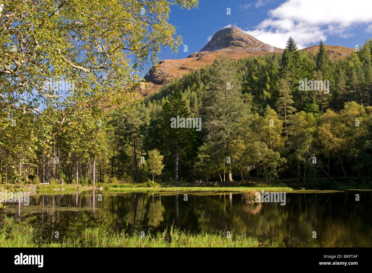 The Glencoe Lochans and the Pap of Glencoe towering above from the ...