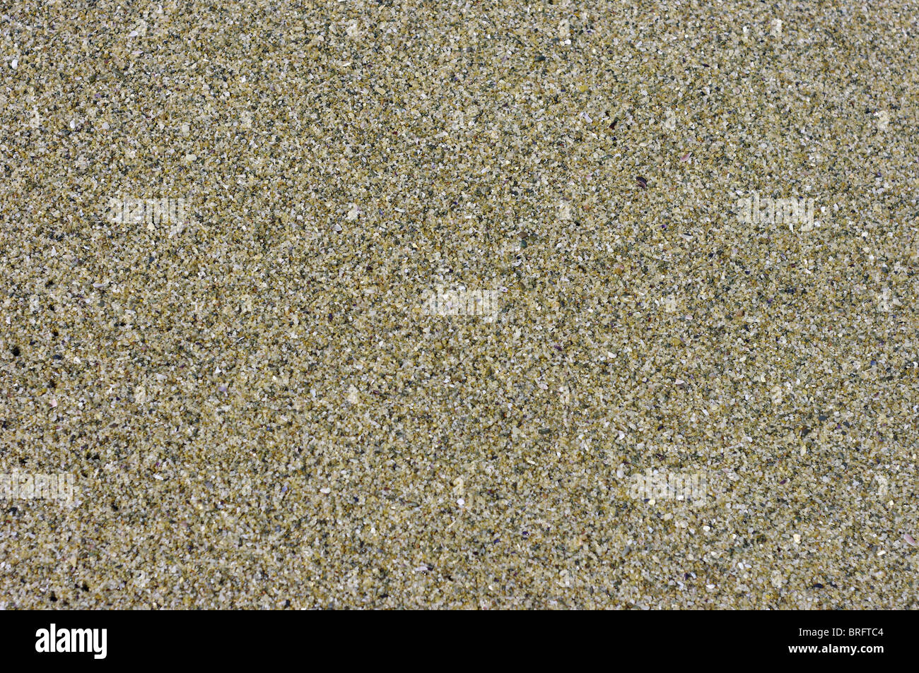 Sand color hi-res stock photography and images - Alamy