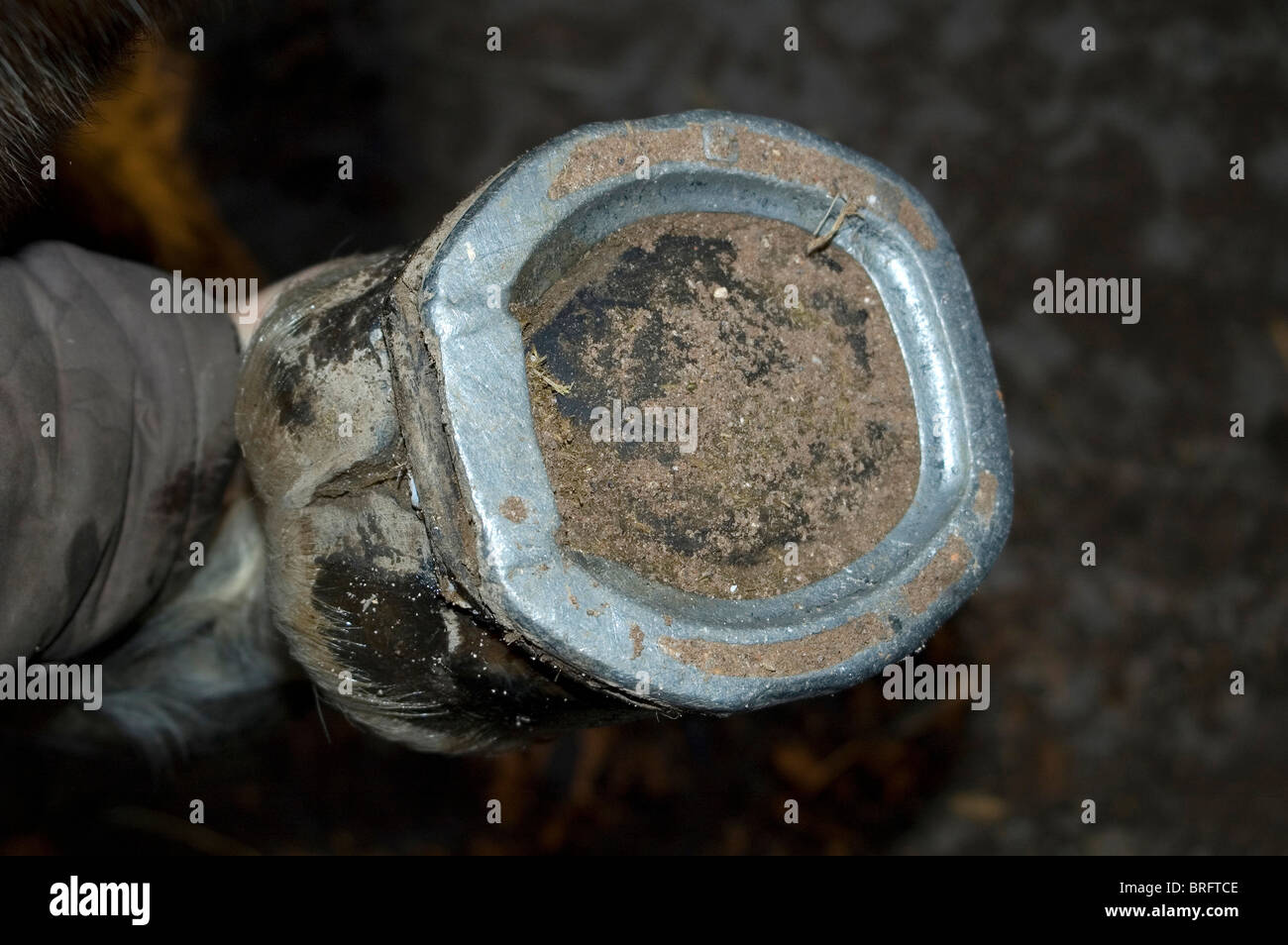 Horseshoe bottom hi-res stock photography and images - Alamy