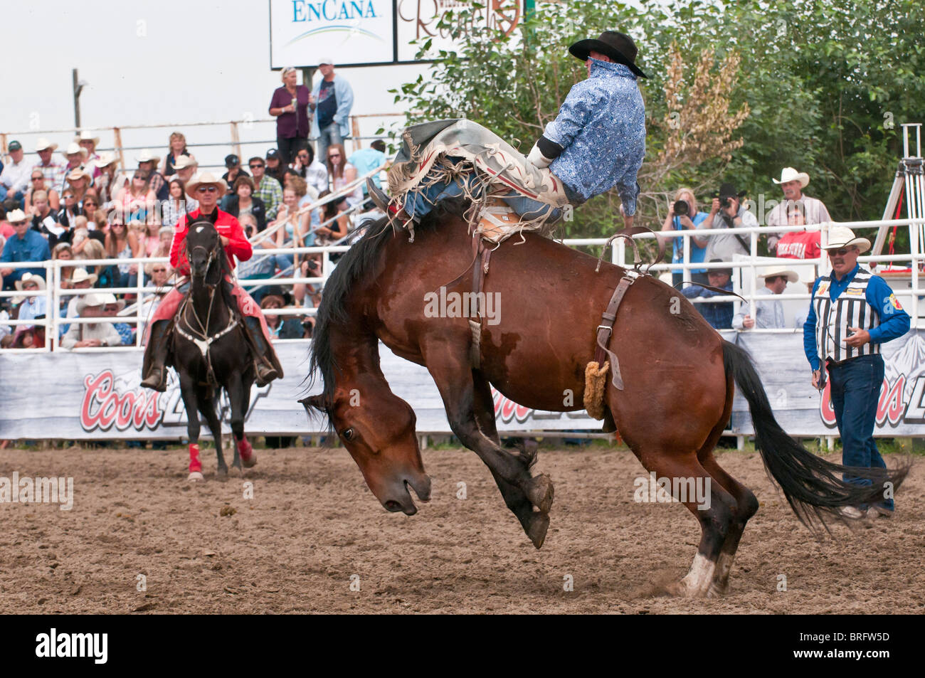Cowboy, bareback bronc riding, Strathmore Heritage Days, Rodeo ...