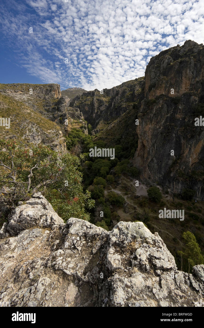 monachil gorge area Sierra Nevada National Park Spain Europe Stock ...