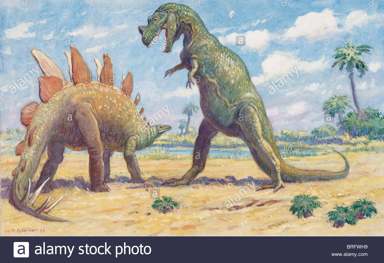 Stegosaurus Stock Photos & Stegosaurus Stock Images - Alamy