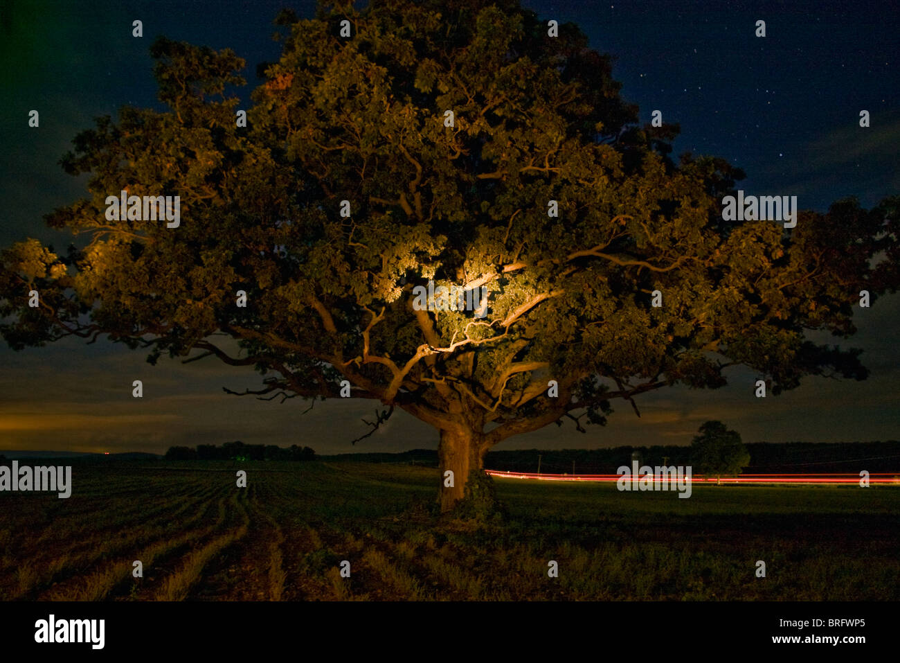 Night Landscape Photograph taken by Matt Ware. A farm at night with ...