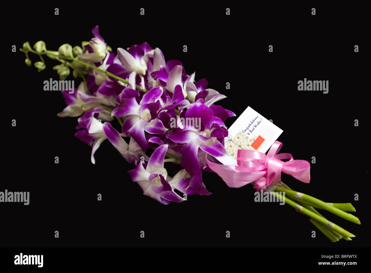 Dendrobium orchids hi-res stock photography and images - Alamy