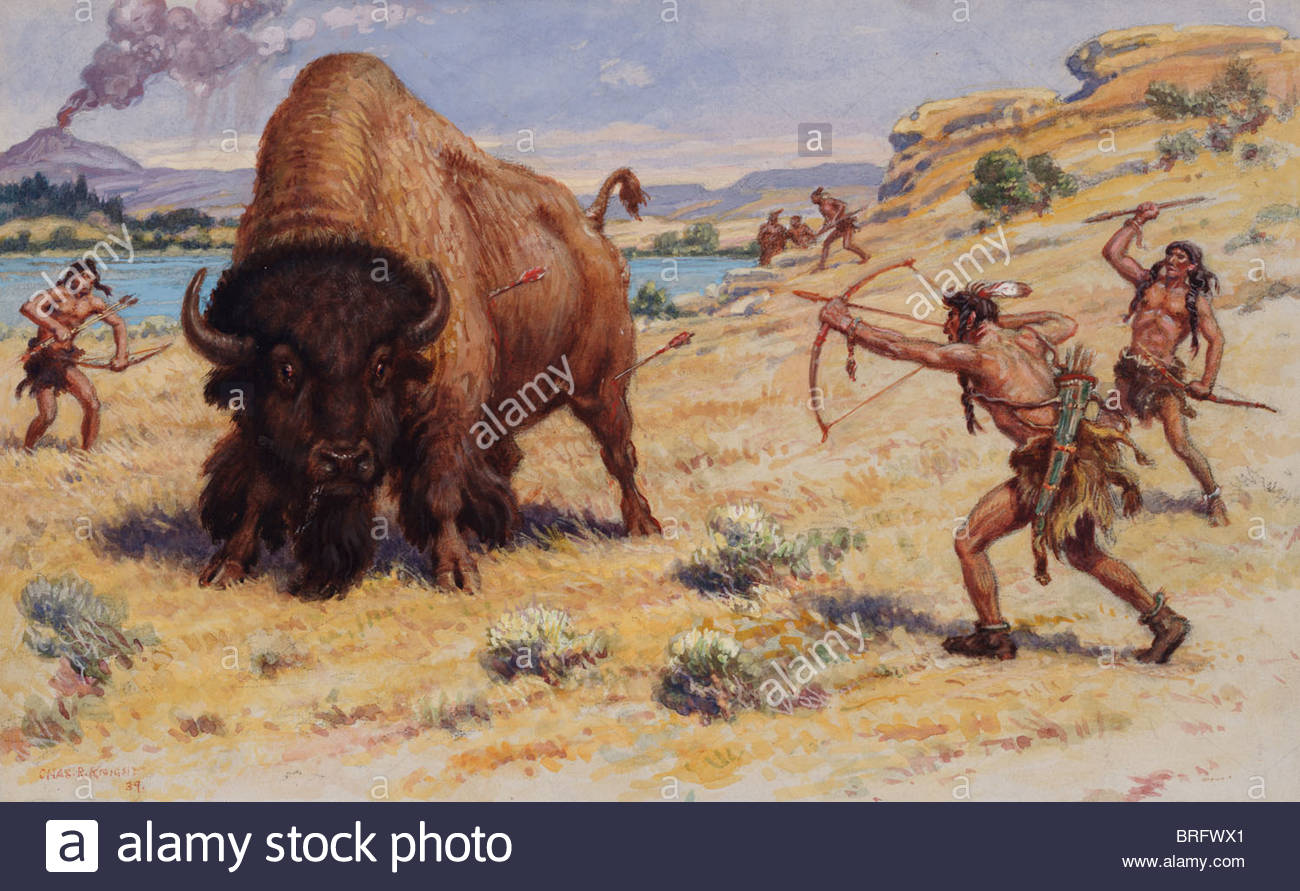 Prehistoric Bison Stock Photos & Prehistoric Bison Stock Images - Alamy