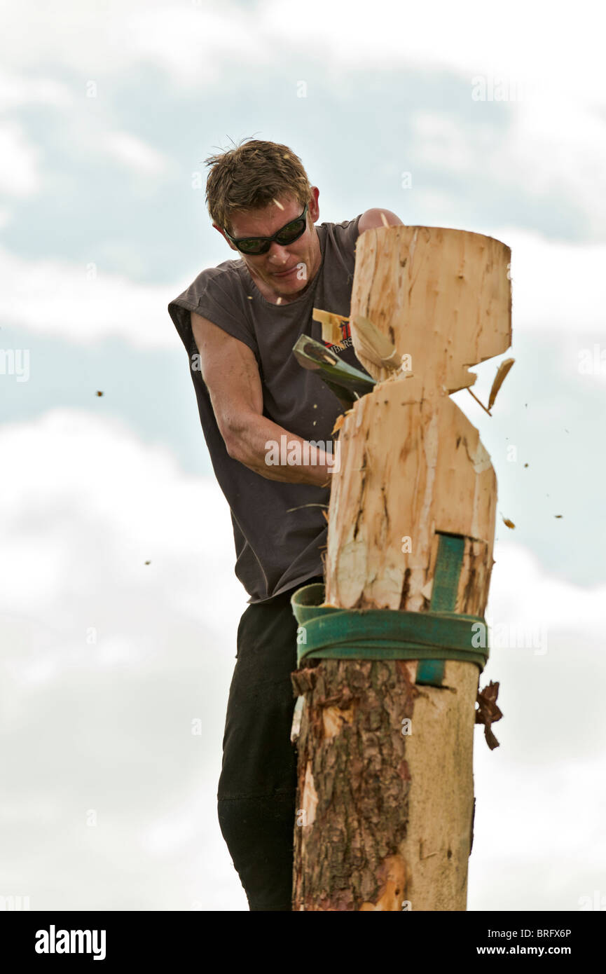 Wood chopping competition hi-res stock photography and images - Alamy
