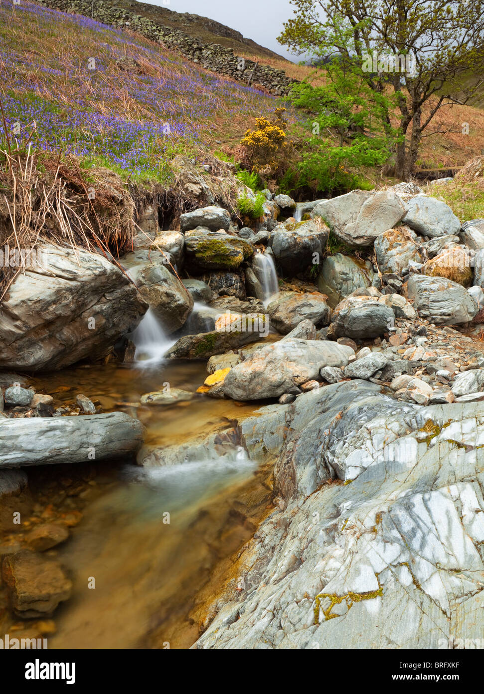 Mountain stream lake district hi-res stock photography and images - Alamy