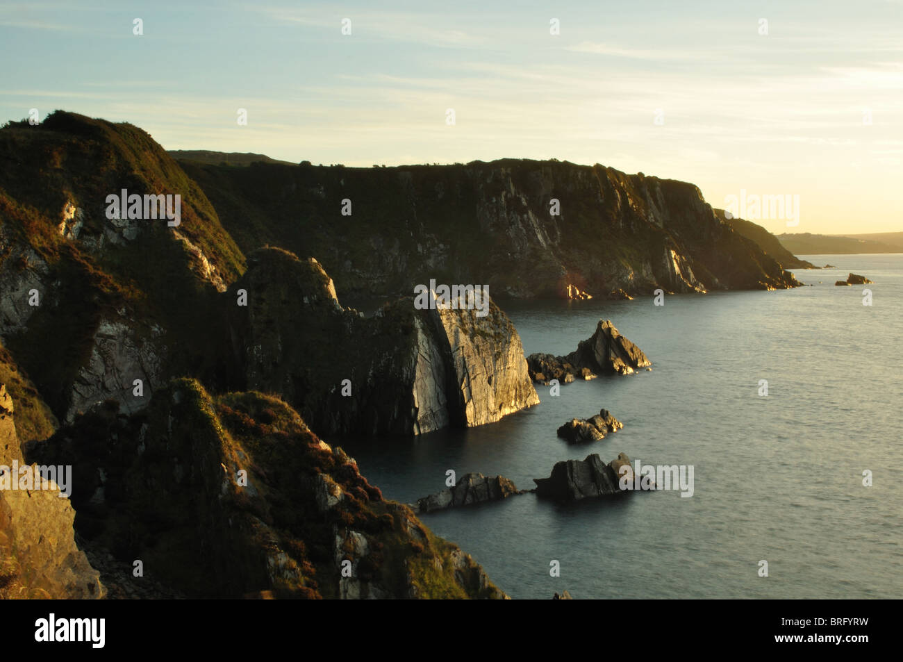 Penhryn erw goch hi-res stock photography and images - Alamy