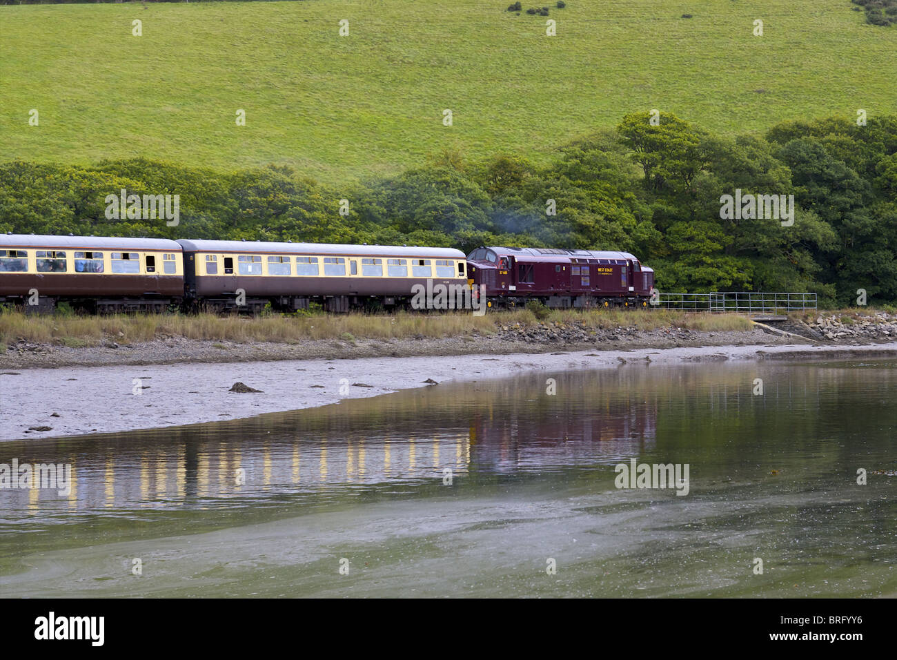 Looe valley line hi-res stock photography and images - Alamy