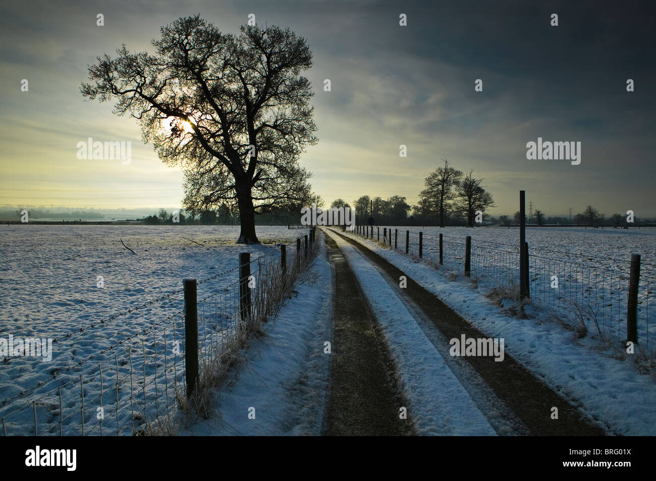 St albans hertfordshire winter hi-res stock photography and images - Alamy