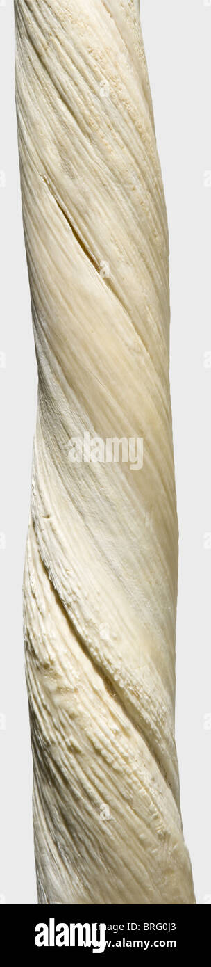 A narwhal tusk, 19th century. Massive spiralled tusk, it's surface ...