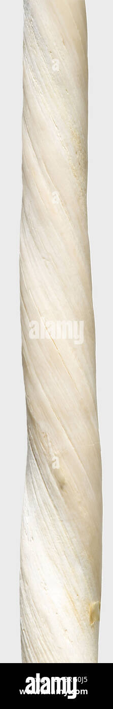 A narwhal tusk, 19th century. Massive spiralled tusk, it's surface ...