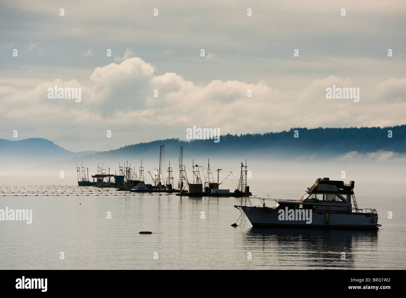 Wild Pacific Salmon reefnet fishing is a historical Pacific Northwest ...