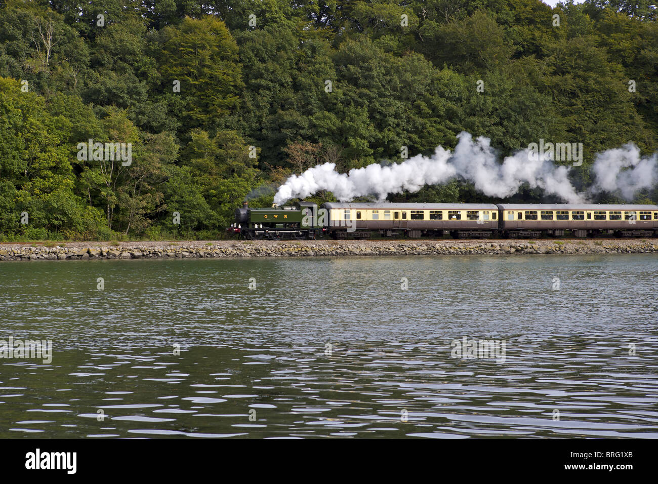 Looe valley line hi-res stock photography and images - Alamy