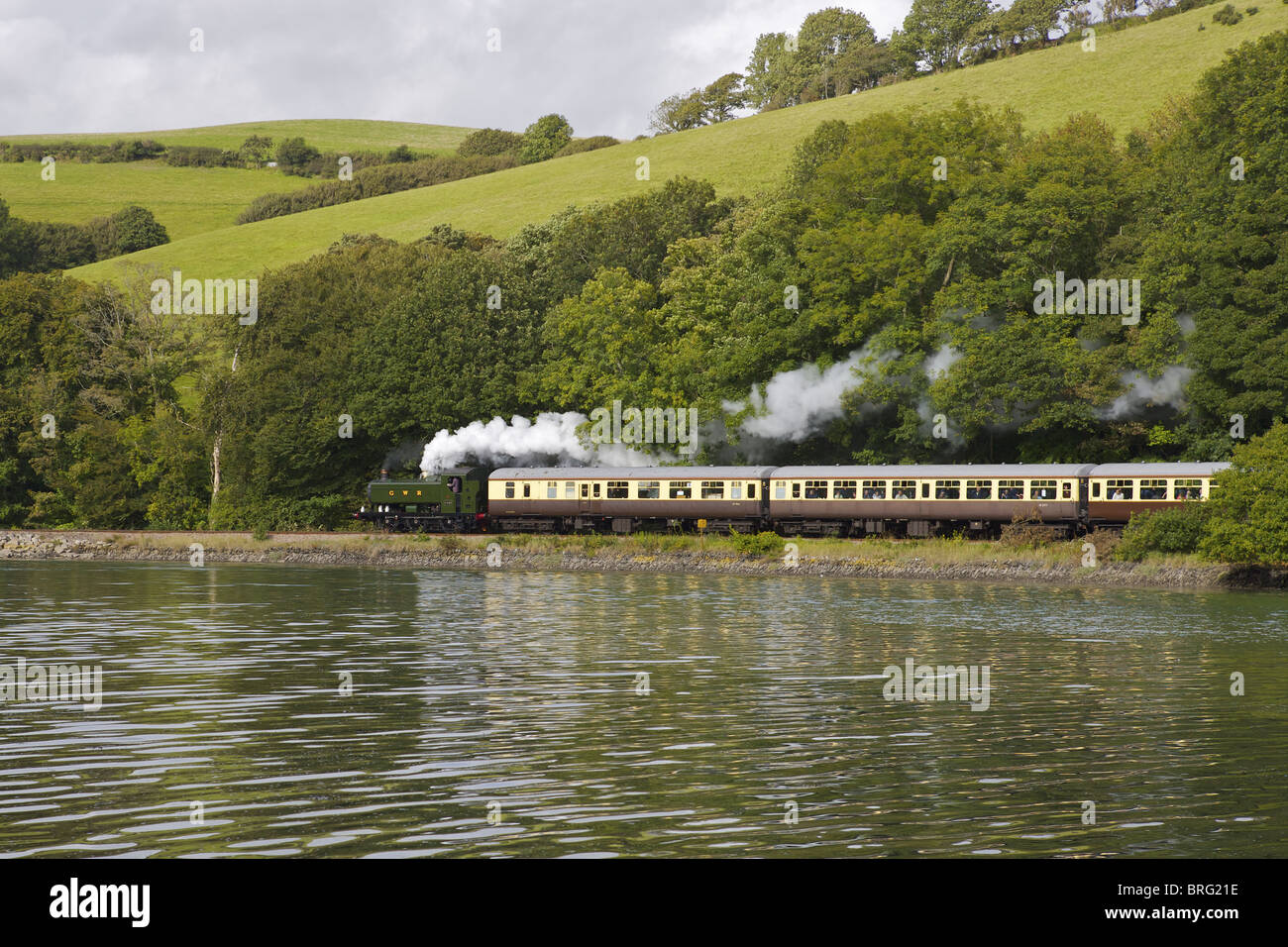 Looe valley line hi-res stock photography and images - Alamy