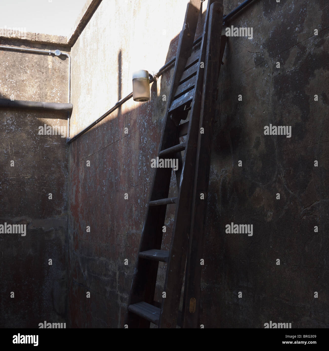 Ladder Leaning Against Wall High Resolution Stock Photography and ...