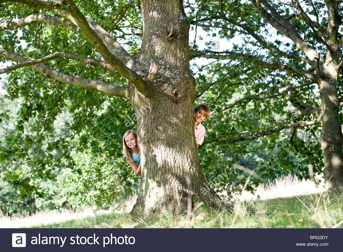 Boy Girl Hide Behind Tree Stock Photos & Boy Girl Hide Behind Tree ...