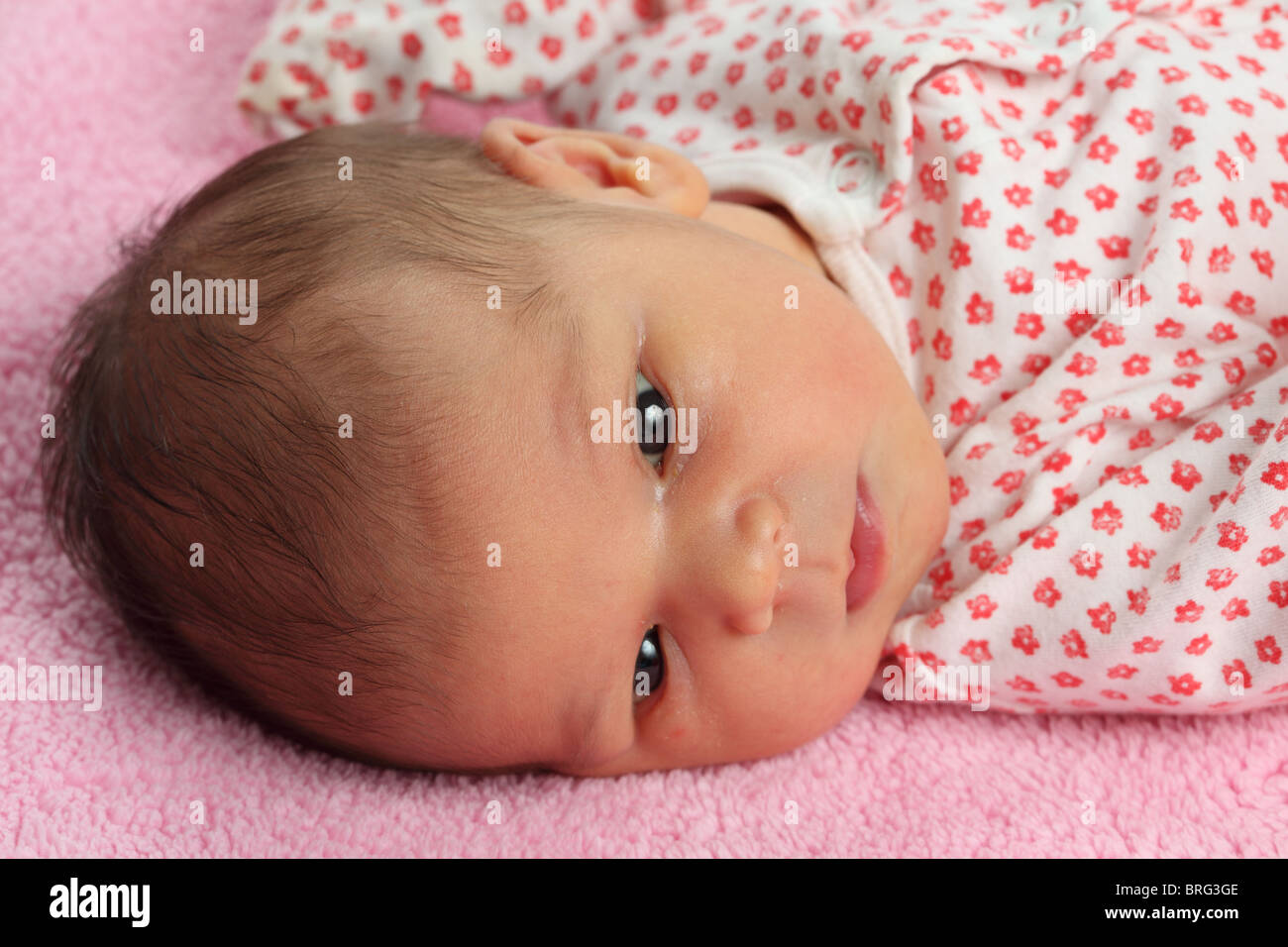Portrait of a beautiful newborn baby girl on pink blanket Stock Photo ...