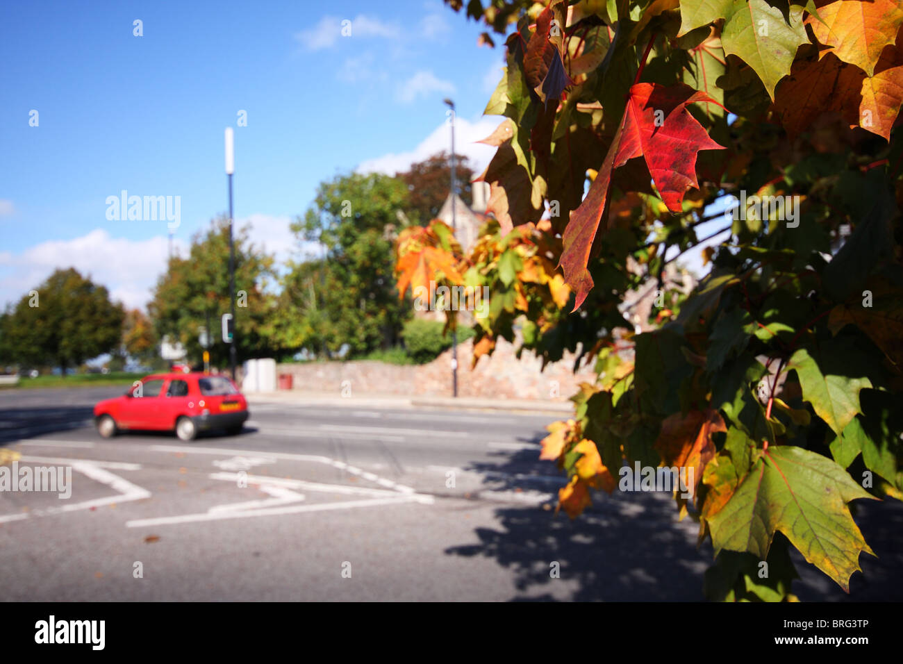 Bristol autumn leaves hi-res stock photography and images - Alamy