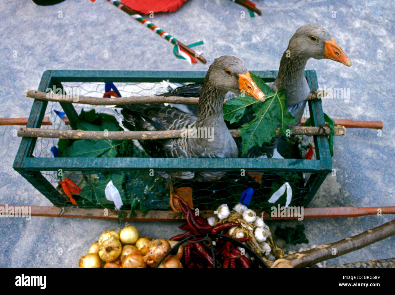 Geese, wedding present, festival, Noce Basque, French Basque Country ...