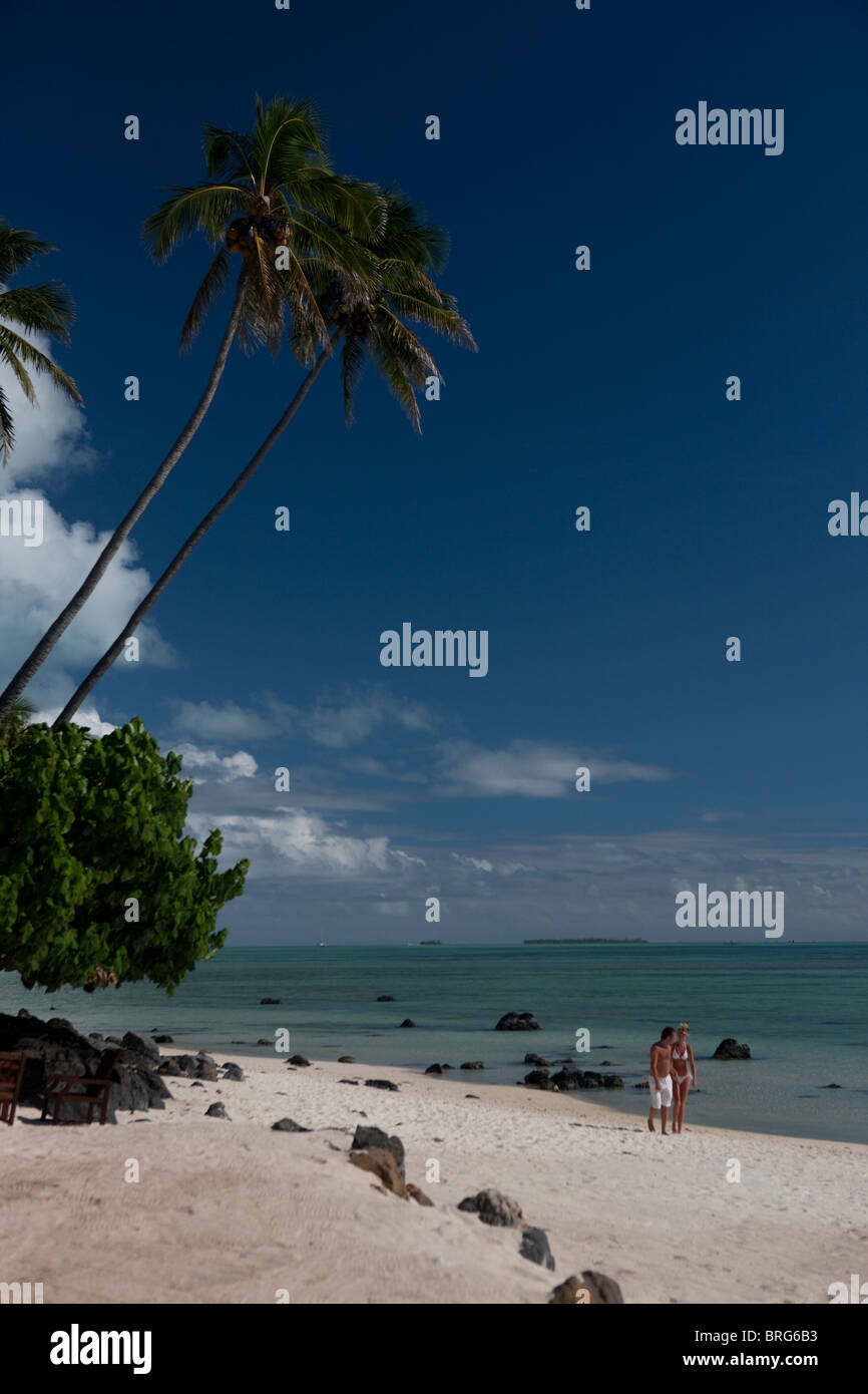 Honeymoon island cook islands hi-res stock photography and images - Alamy