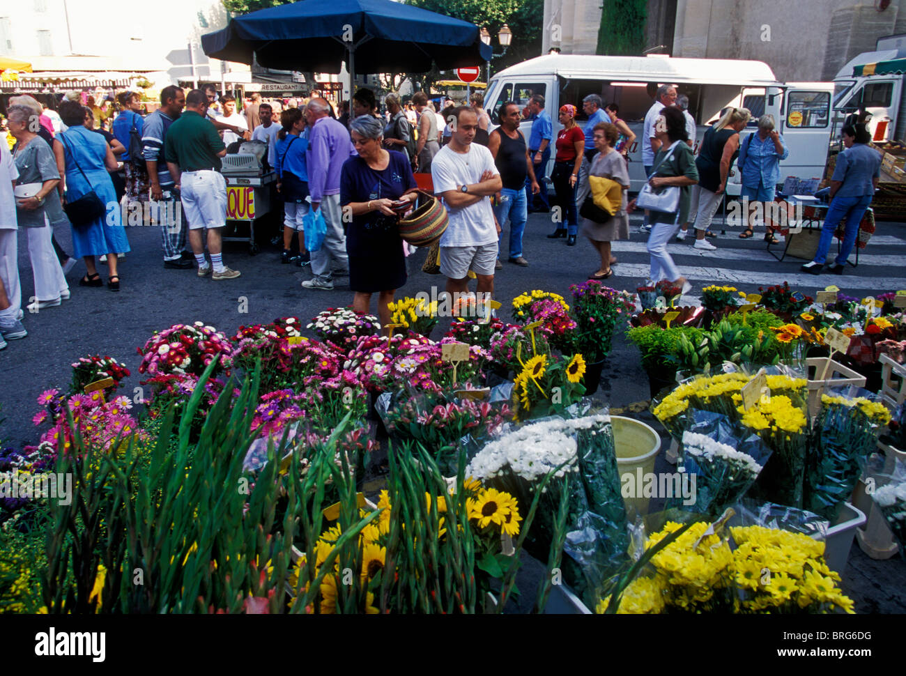 Culture de tournesol hi-res stock photography and images - Alamy