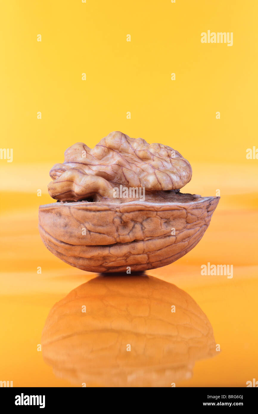 Walnut brain hi-res stock photography and images - Alamy