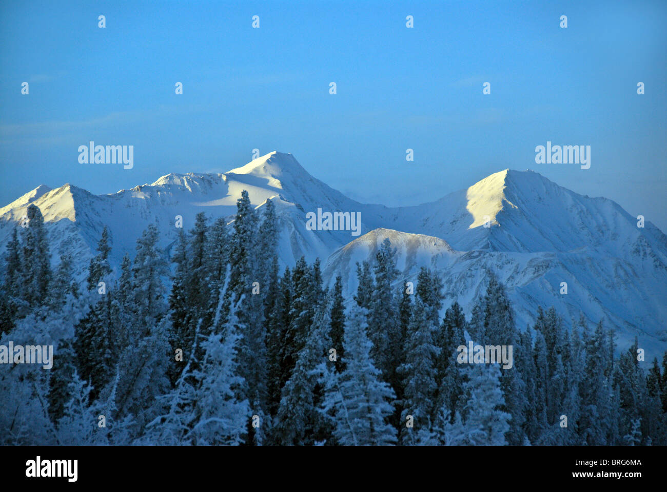 Kluane national park and reserve hi-res stock photography and images ...