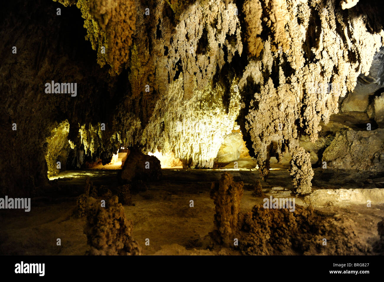 Carlsbad Caverns National Park New Mexico caves Stock Photo - Alamy