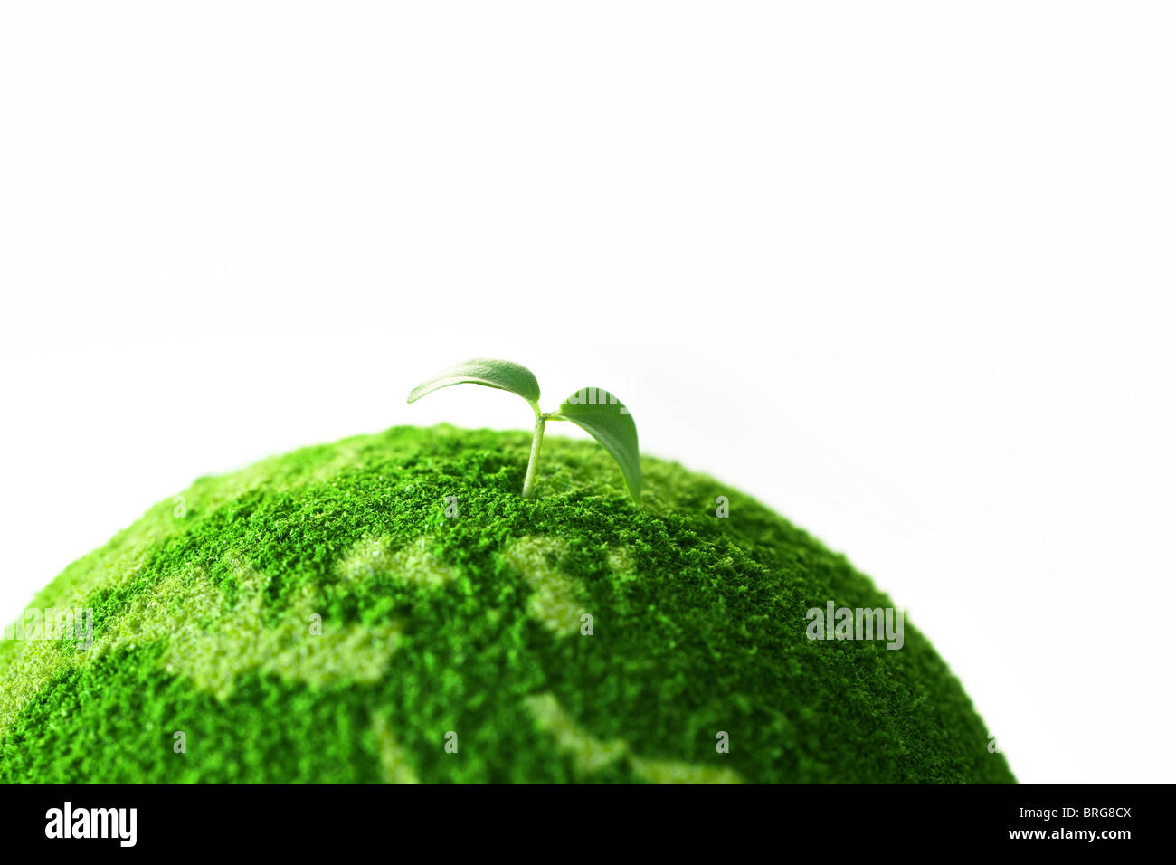 Planet with tree and Sprout Stock Photo - Alamy