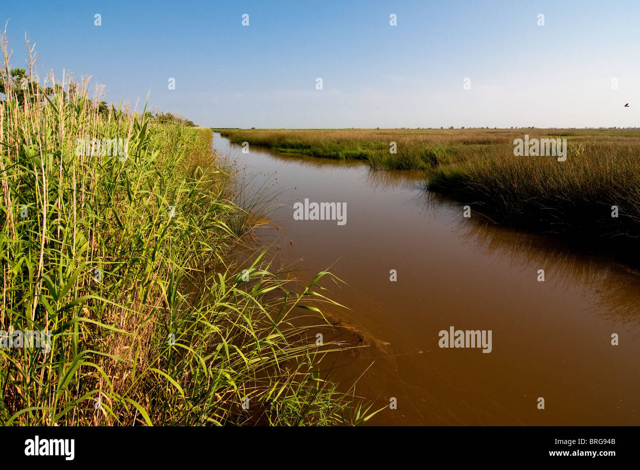 Sabine river hi-res stock photography and images - Alamy