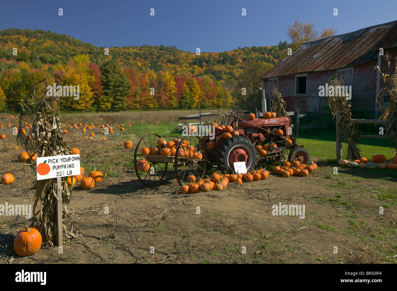 Pick your own pumpkins usa hi-res stock photography and images - Alamy