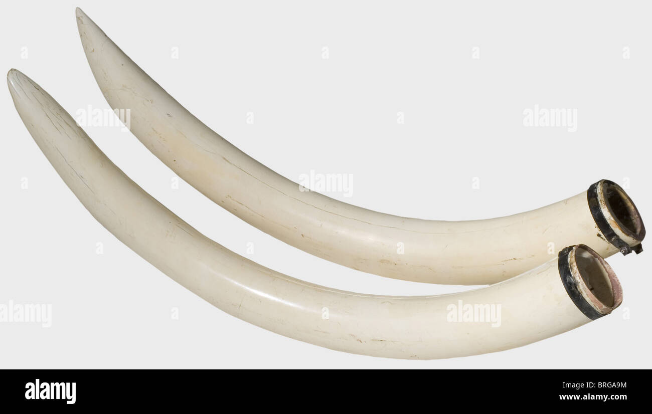 A pair of elephant tusks, Africa, 20th century Slightly different ivory ...