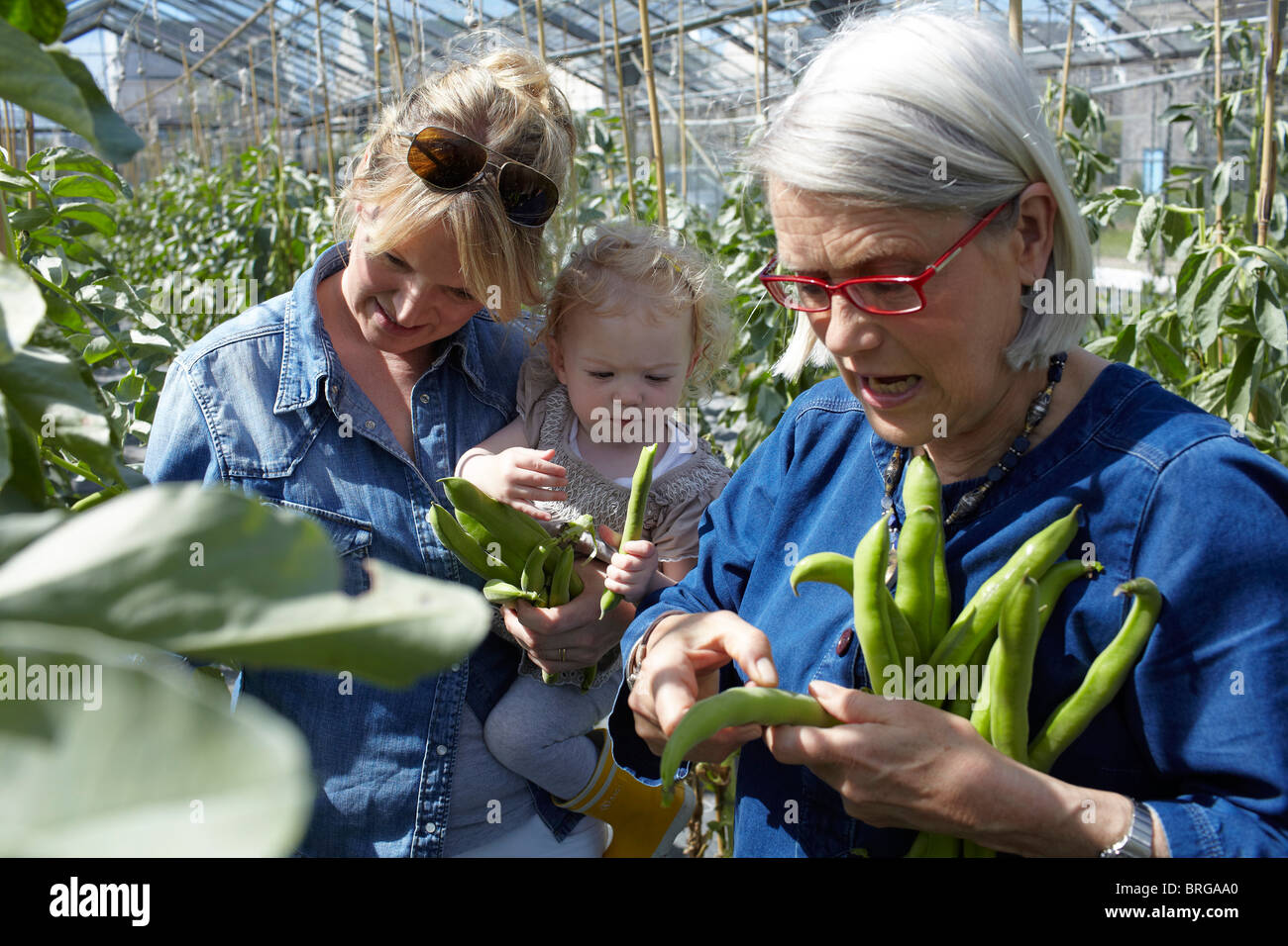 Ballymaloe Cookery School the only cookery school in the world located ...