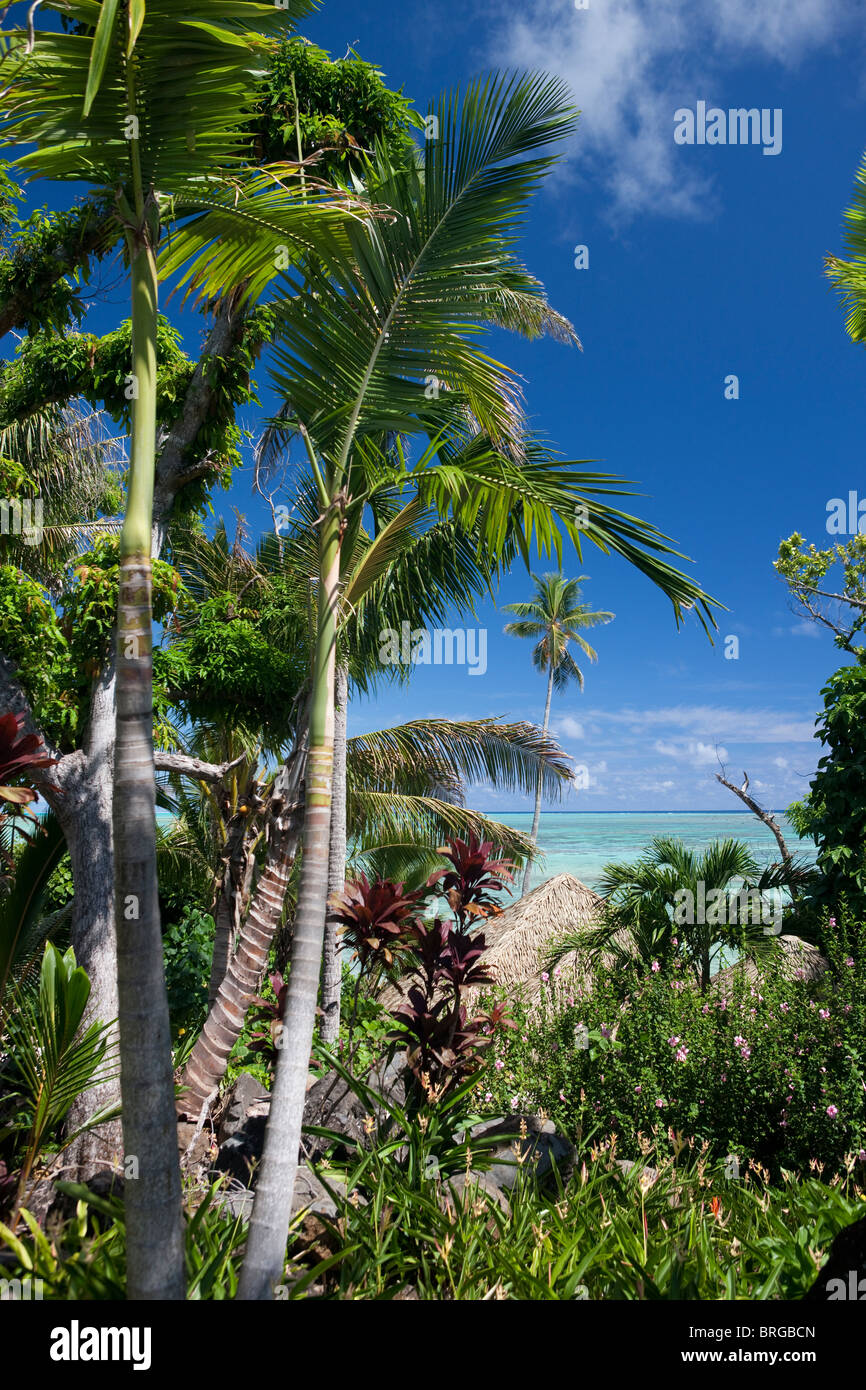 Cook islands touristic resort hi-res stock photography and images - Alamy