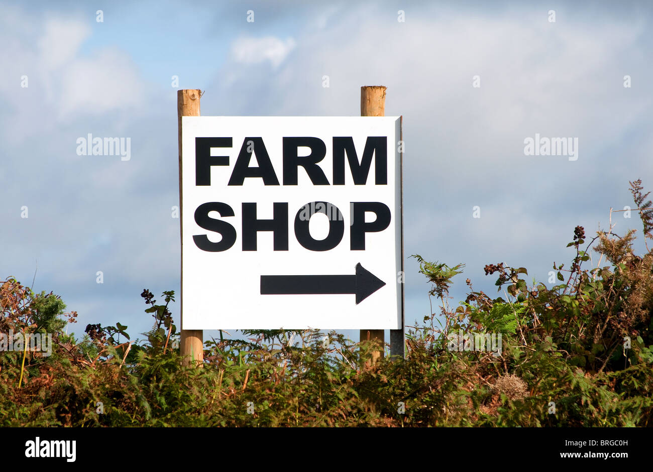 a farm shop sign cheshire, england, uk Stock Photo - Alamy