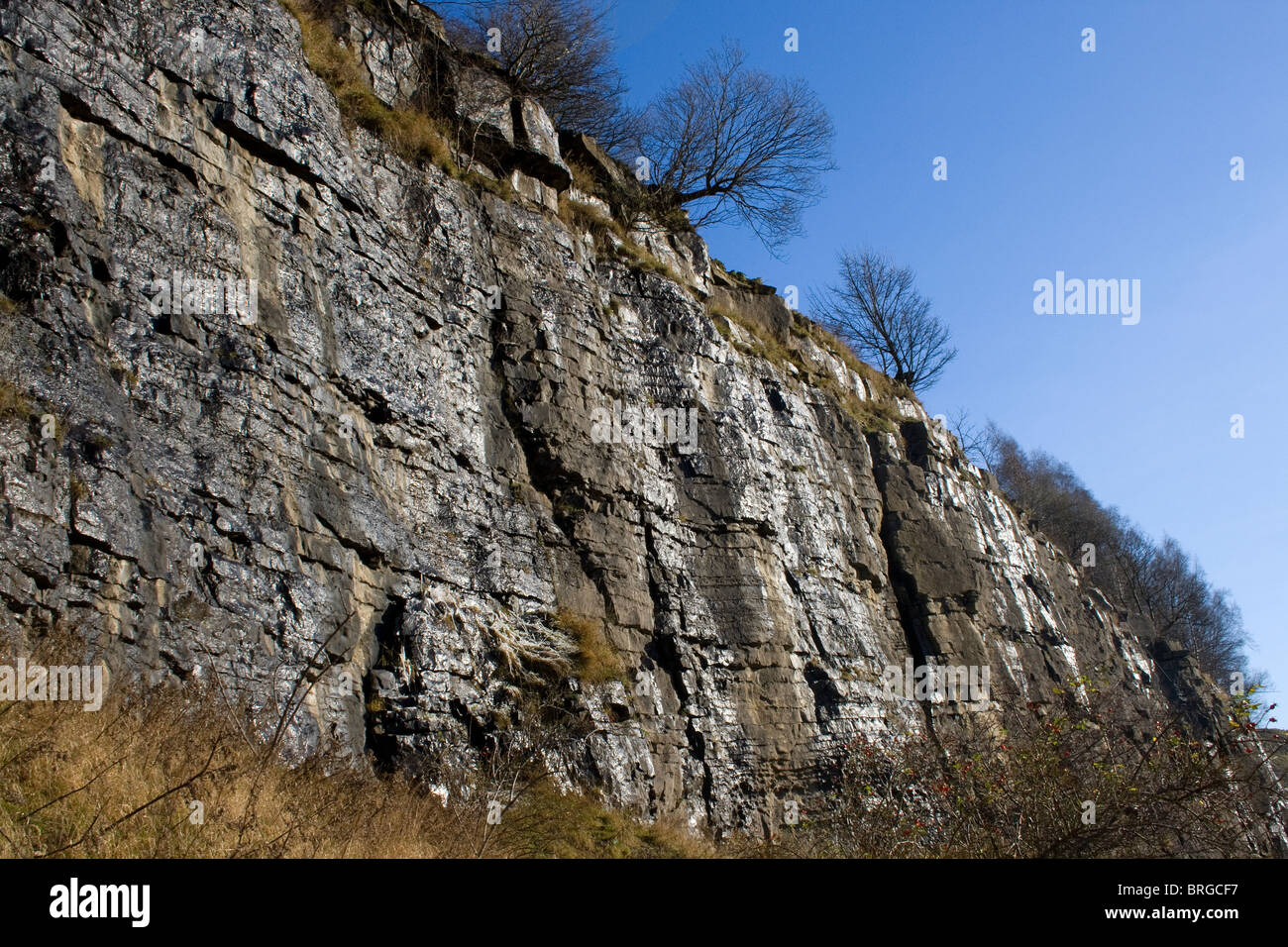 Stanhope durham hi-res stock photography and images - Alamy