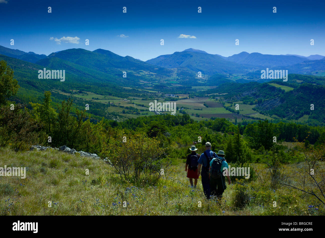 Becs hi-res stock photography and images - Alamy