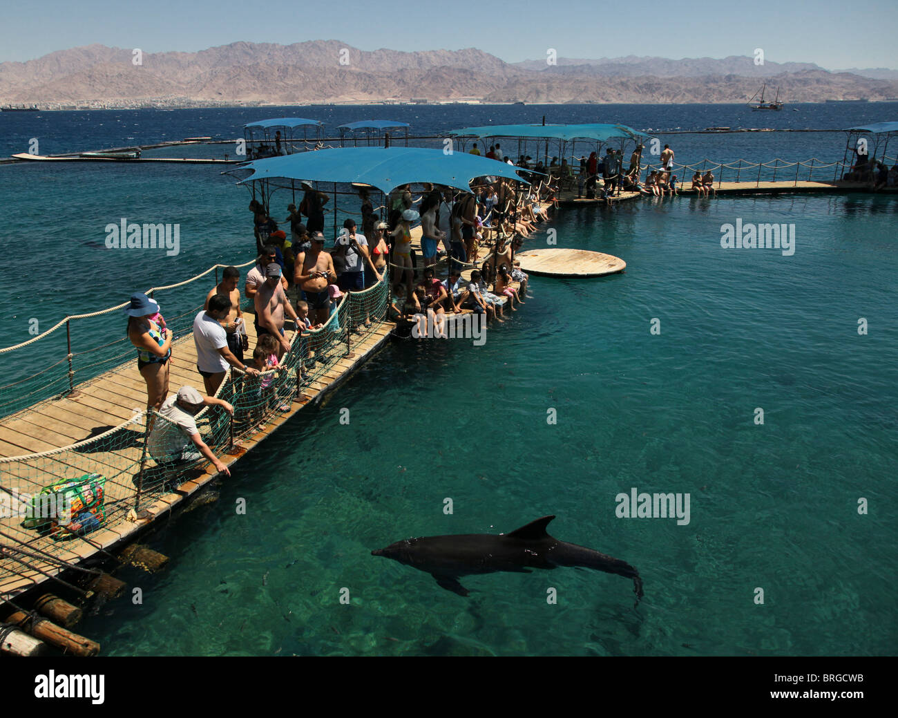 People watching dolphins at the Dolphin Reef a horseshoe-shaped sea-pen ...