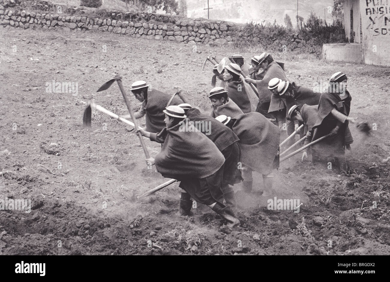 ECUADOR NATIVE QUECHUA WOMEN WORKING A PLOT OF OCCUPIED IDLE LAND Stock ...