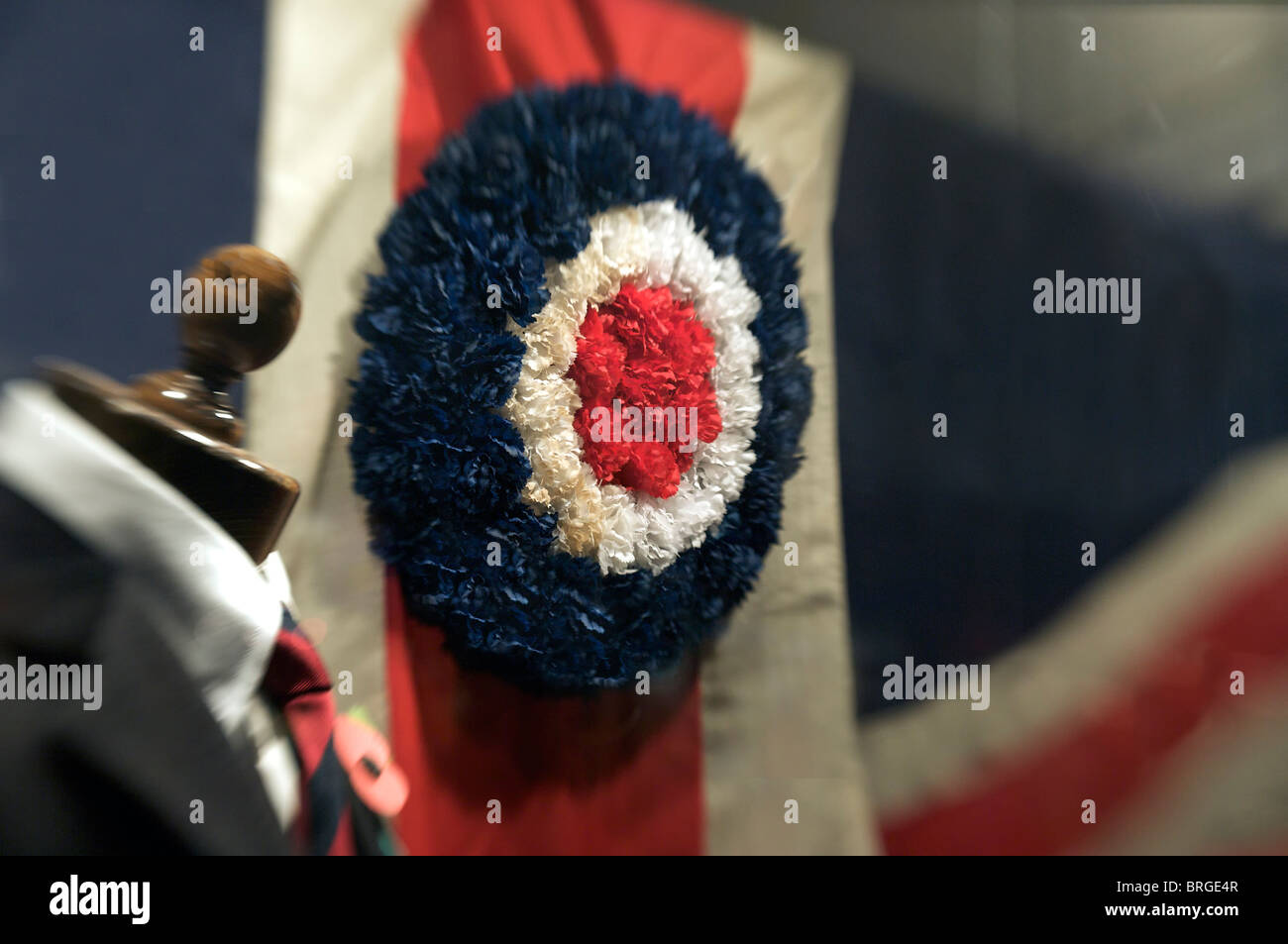 Remembrance Day Shop window Display Brighton Stock Photo - Alamy